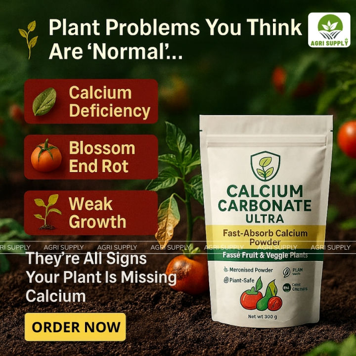 [ ORGANIC] Calcium Carbonate Ultra 250g – Calcium Booster for Fruits ...