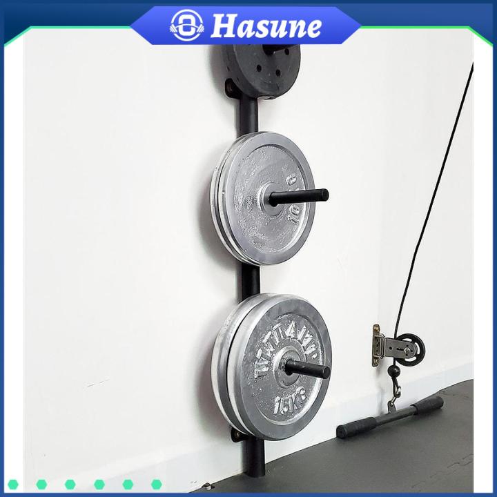 Hasune Weight Plate Rack Wall Mounted Weight Plates Organizer for ...