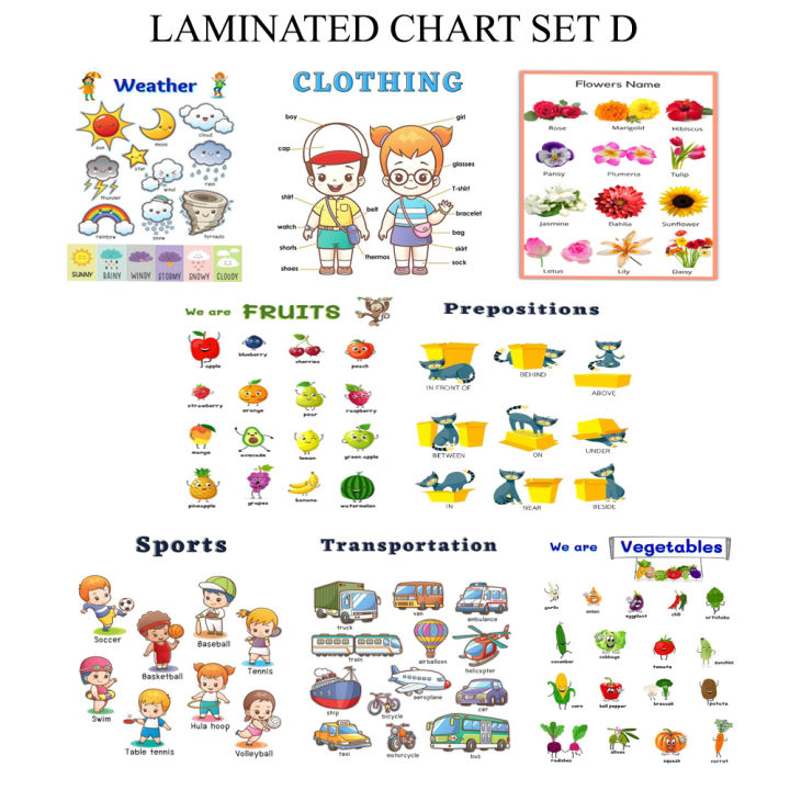 BUNDLE !! Laminated Chart for Kids Set D | Lazada PH