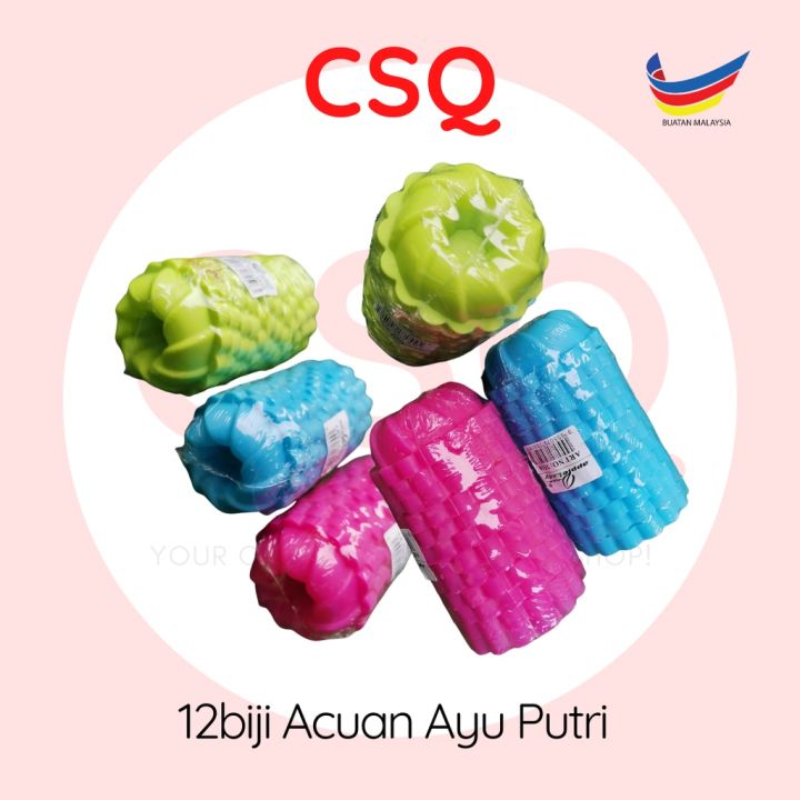 CSQ 12biji Acuan Plastik Kuih Seri Ayu Putri | Lazada