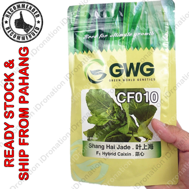 Leckat GWG CF010 CF 010 Seed Seeds Biji Benih Sayur Vegetable 20G 100G ...