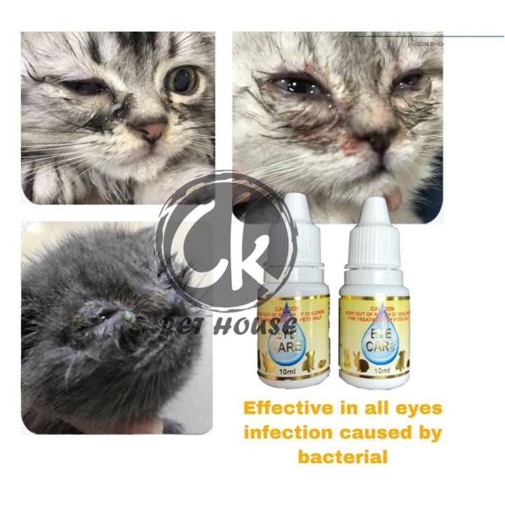 Eye Care Drop / Ubat Mata Kucing (Cat, Dog, Small Animal) 10ML | Lazada