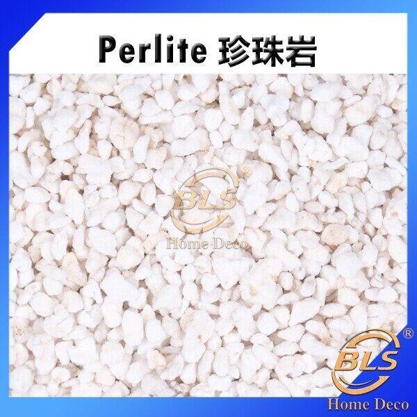 3-6mm Perlite for Cactus and Succulent (Natural Expanded Volcanic ...