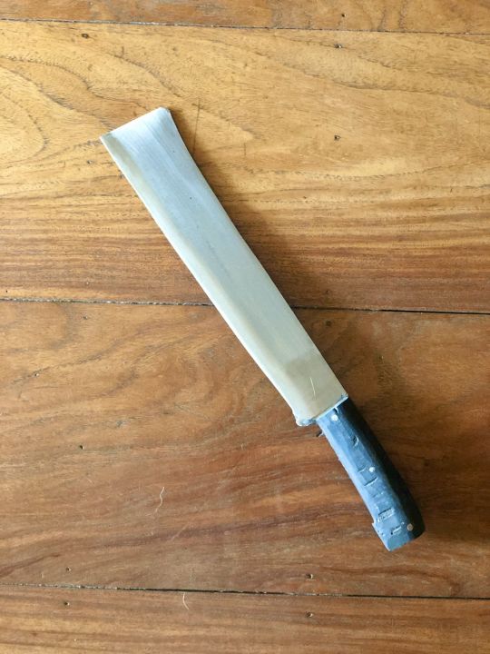 Gulok (Flat) Carabao Horn | Lazada PH