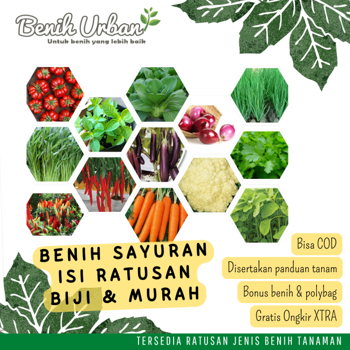 RATUSAN JENIS BENIH SAYURAN BIJI TANAMAN SAYUR BIBIT UNGGUL | Lazada ...