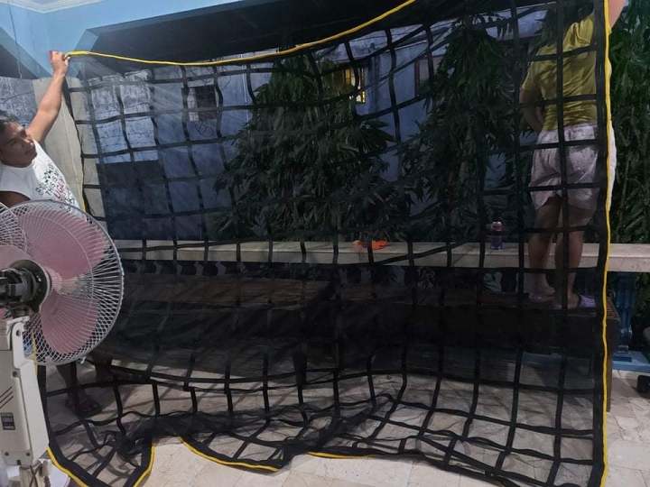 SPIDER CARGO NET FOR TOYOTA HILUX Pick up Truck Heavy Duty Cargo net ...