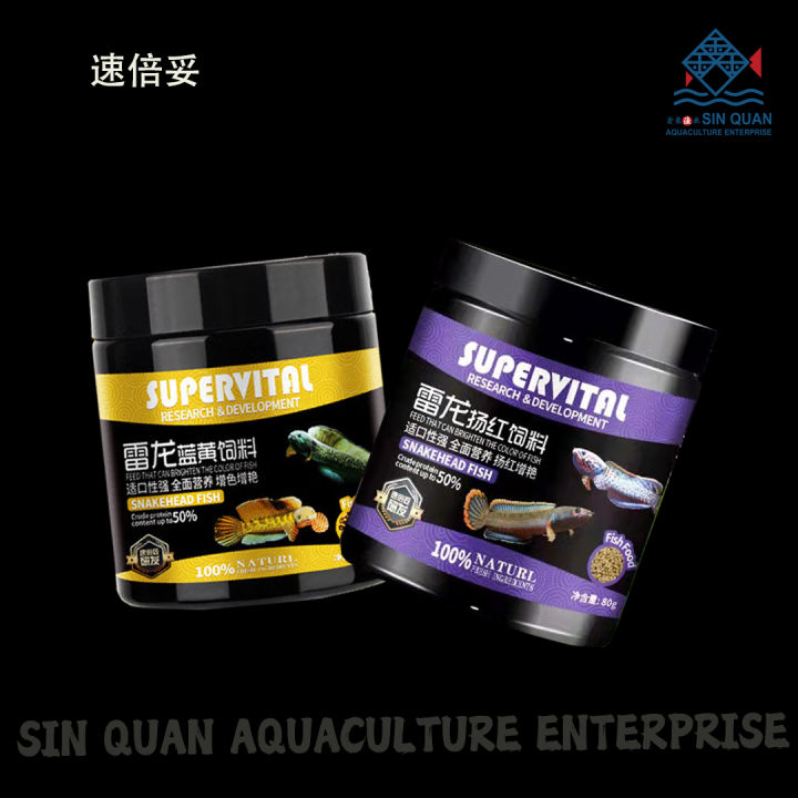 SUPERVITAL SNAKEHEAD BLUE AND YELLOW CHANNA FISH SPECIAL FEED - 80G-100 ...
