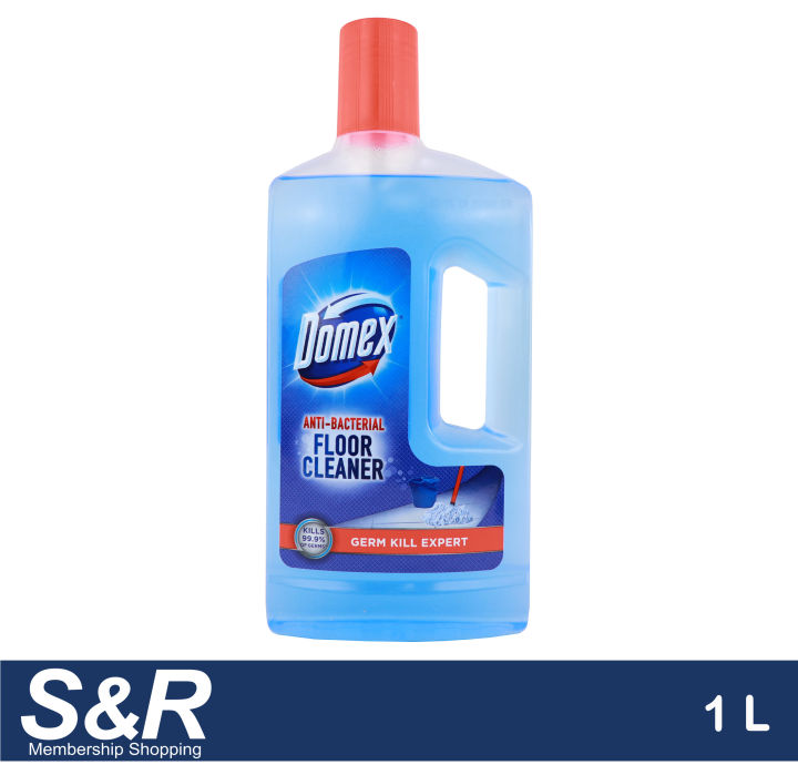 Domex Antibacterial Floor Cleaner 1L | Lazada PH