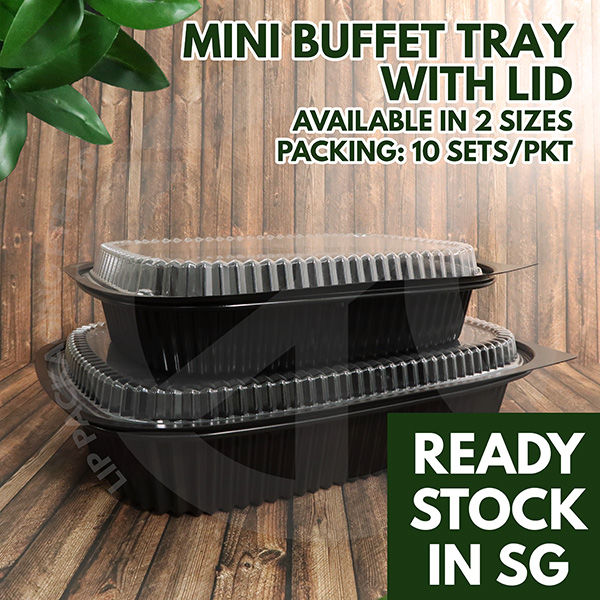Mini Buffet Tray with Lid (10sets) / Catering Container / Disposable ...