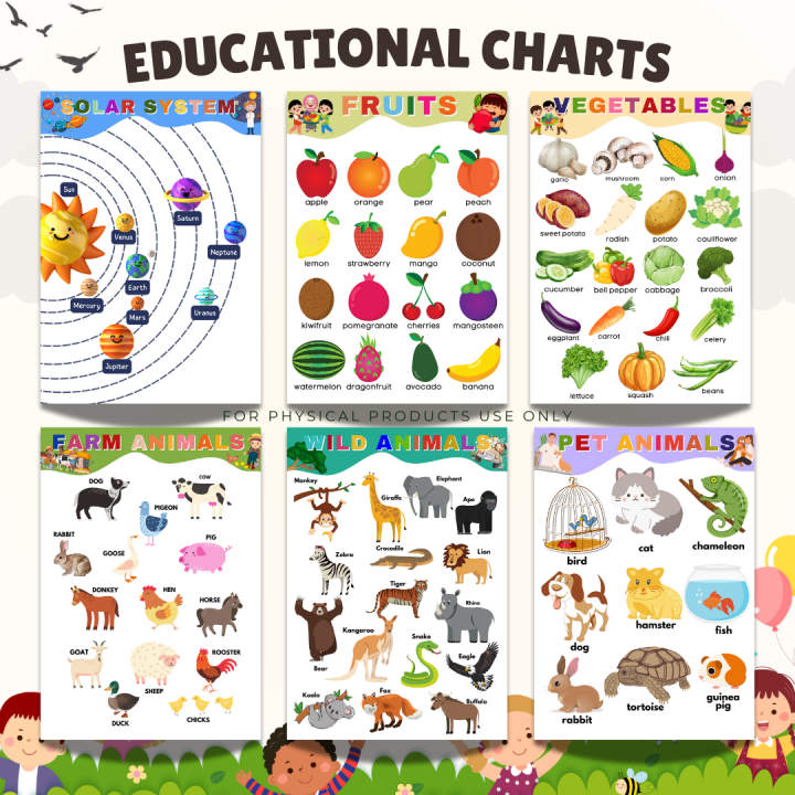 Educational Laminated Charts for Kids A4 Size | Lazada PH