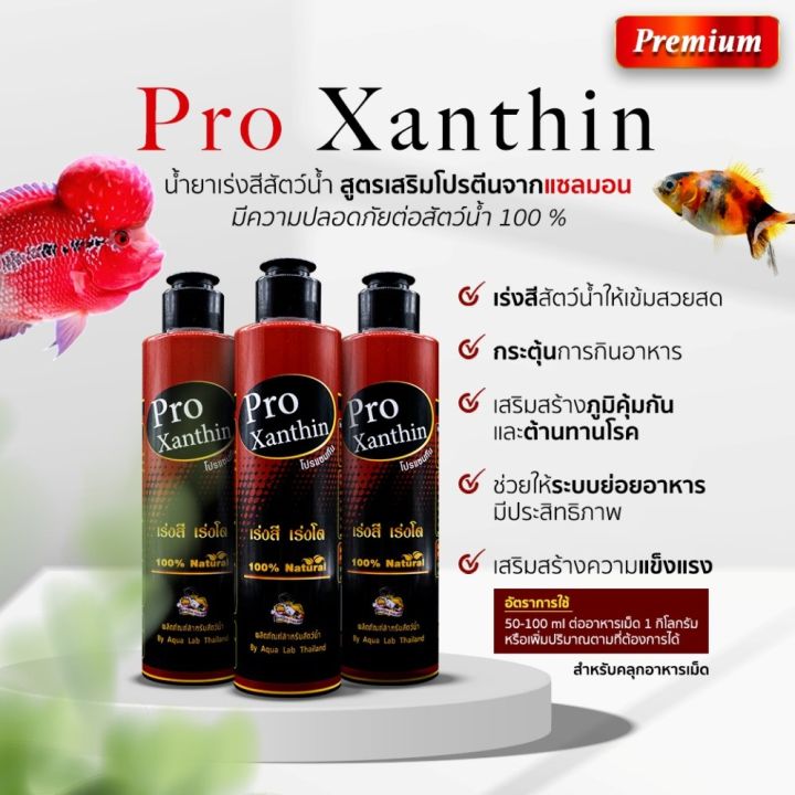 น้ำยาเร่งสี สูตรเสริมโปรตีนจากแซลมอน ใช้คลุกอาหารเม็ดสัตว์น้ำ Pro Xanthin - โปรแซนทีน (200 ml ...
