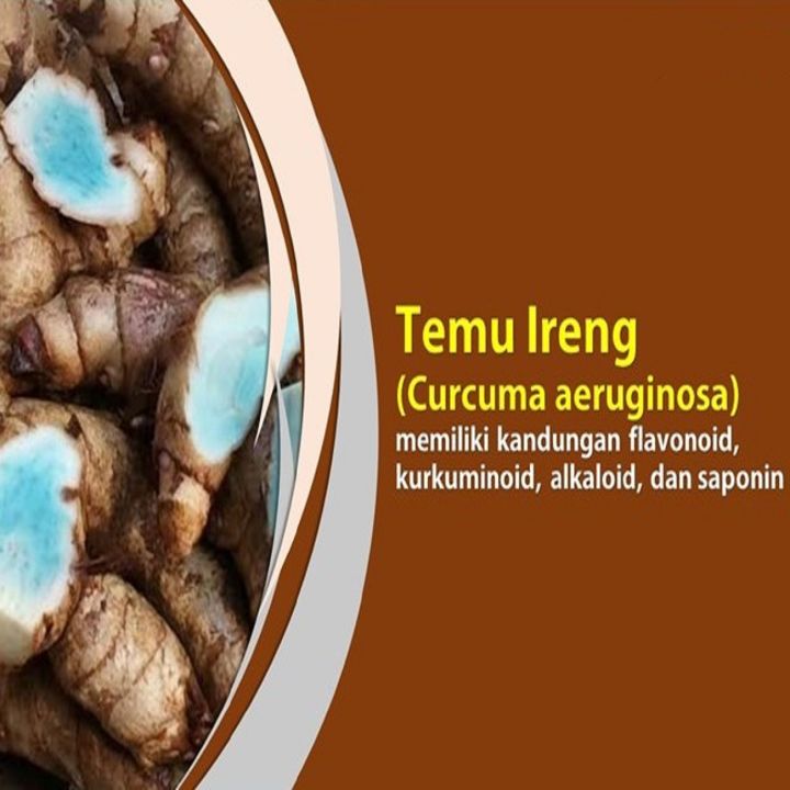 Temu Ireng Bubuk Rempah Jamu Herbal Tradisional Penetral Racun Infeksi ...