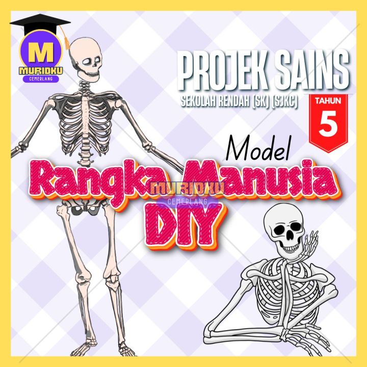 Model Rangka Manusia DIY - BAHAN PEMBELAJARAN PROJEK SAINS TAHUN 5 SEKOLAH RENDAH (SK) (SJKC ...