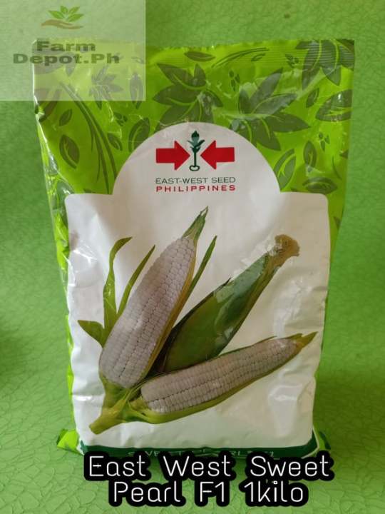 East West Seeds Sweet Pearl F1 White Corn Kilo | Lazada PH