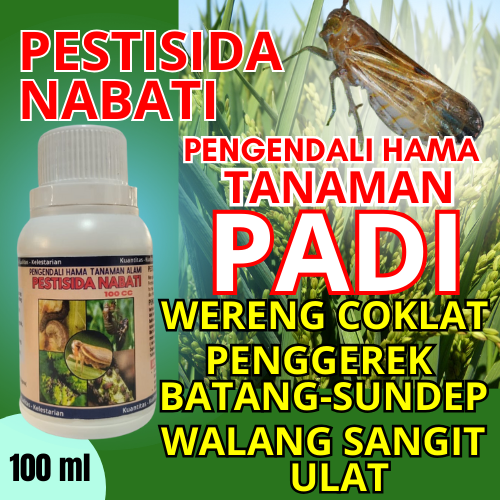 Pestisida Obat Hama Padi / Hama Wereng Sundep Beluk / Obat Semprot Hama ...