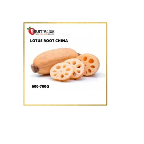 LOTUS ROOT FROM CHINA 500GM-600GM (VEGETABLE) | Lazada Singapore
