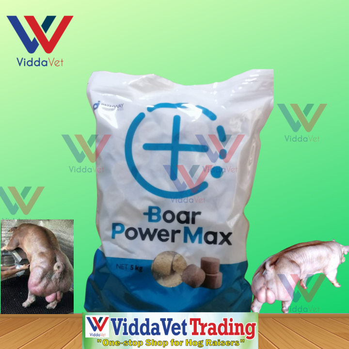 Viddavet 5 kg boar power max boar supplement | Lazada PH