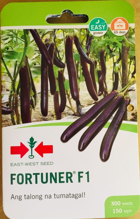 Seeds - Buto ng Halaman - Talong Haba | Lazada PH