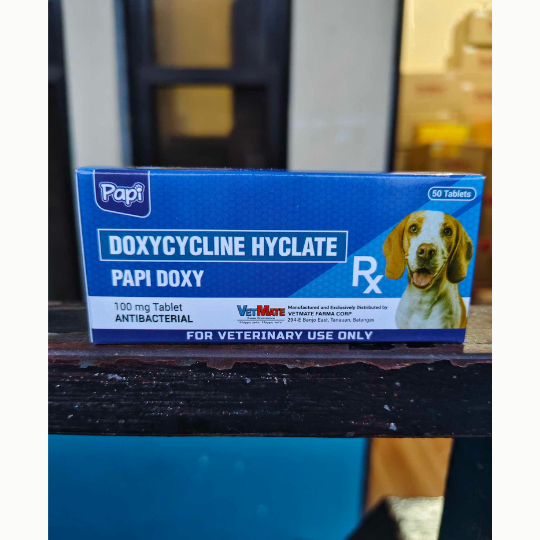 Papi Doxy 100mg Tablet Doxycycline Hyclate Antibacterial | Lazada PH