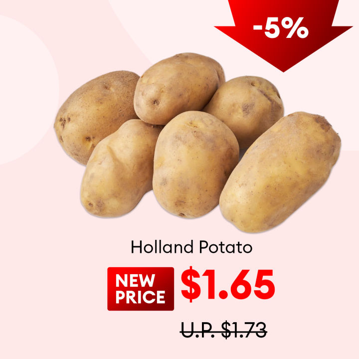 Holland Potato | Lazada Singapore