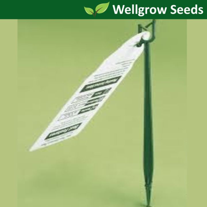 Plant Tag Label Pokok : Info Stick 30 pcs | Lazada