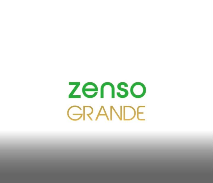 Zenso - Grande Series Switches & Socket Hairline Black | Lazada