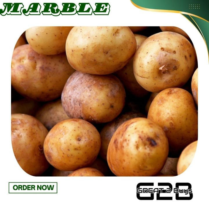 Marble potato Baby patatas from Benguet 1Kg | Lazada PH