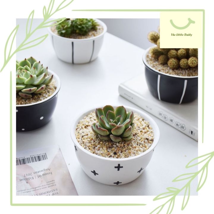 【Ready Stock】Black & White Big Large Succulent Planter | Muji Style Pot ...