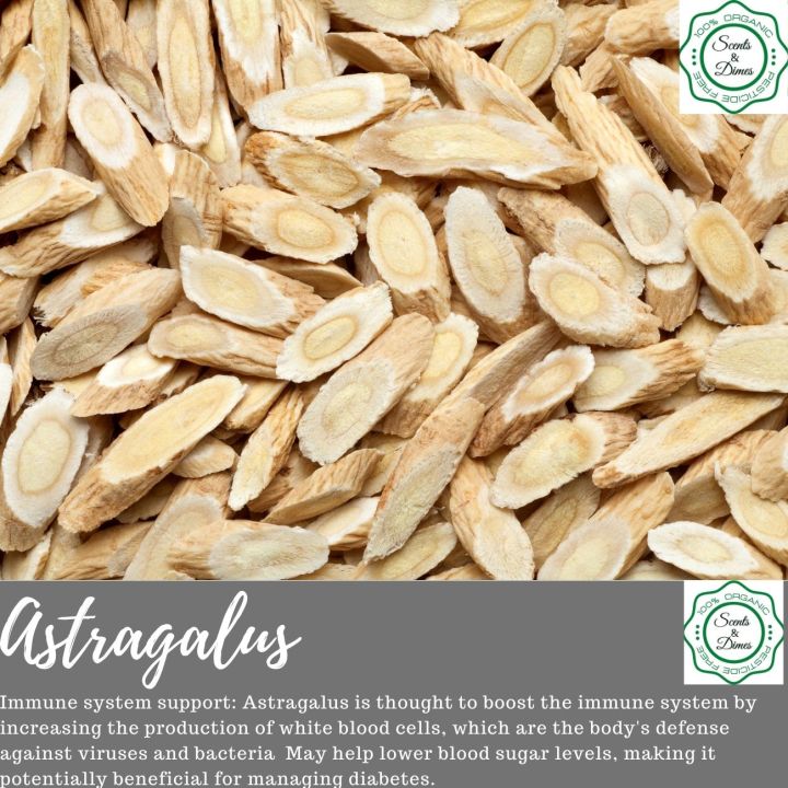 Organic Dried ASTRAGALUS Root (Huang qi) Tea | Lazada PH