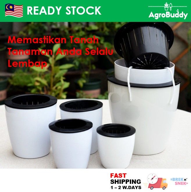 AgroBuddy Self Watering Pot Hydroponic Pot / Pasu Penyerap Air ...