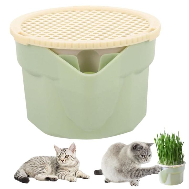 GGTU Hydroponic Cat Grass Box Planter Easy To Grow Reusable Microgreens ...