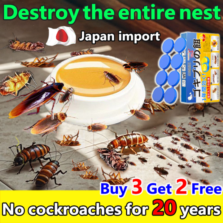 💥Destroy the entire nest💥 Japan import Strong cockroach killer gel ...