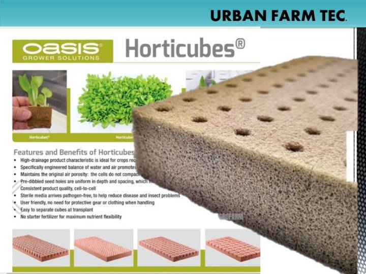 HORTICUBE 2.5CM X 2.5CM/276 cubes Rockwool Cube 100 and 72 cubes for ...