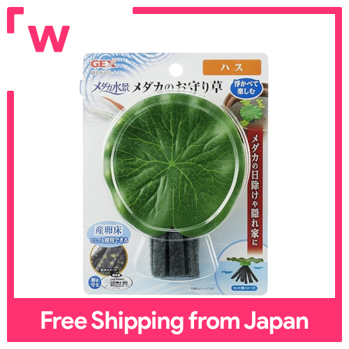 JEX GEX Medaka Genki Medaka Aquascape Medaka Charming Grass Lotus ...