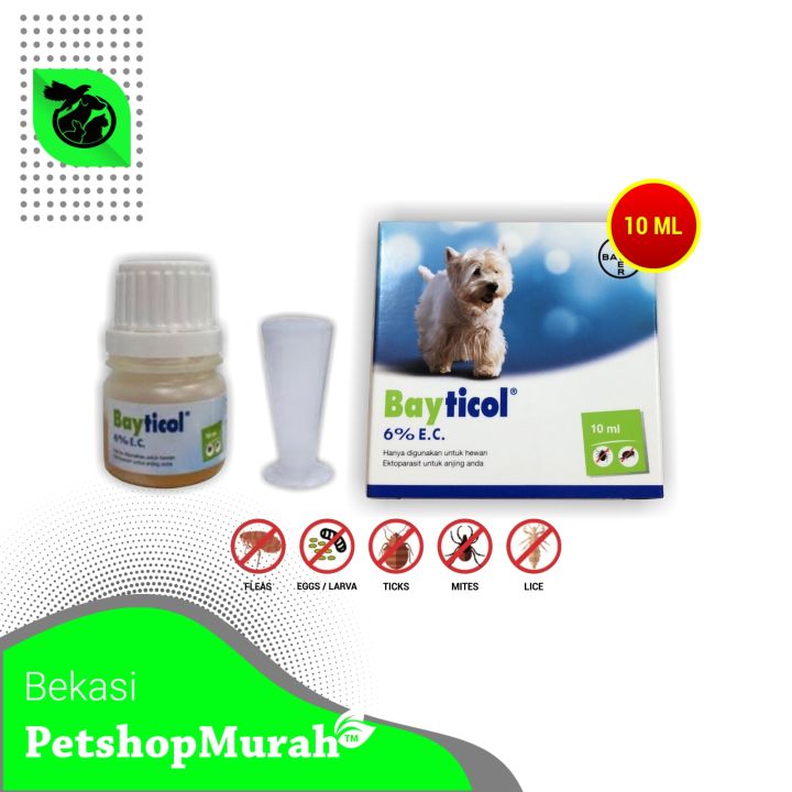 Bayticol Dog Obat Kutu Tetes Caplak Pinjal Tungau Anjing 10 Ml | Lazada ...