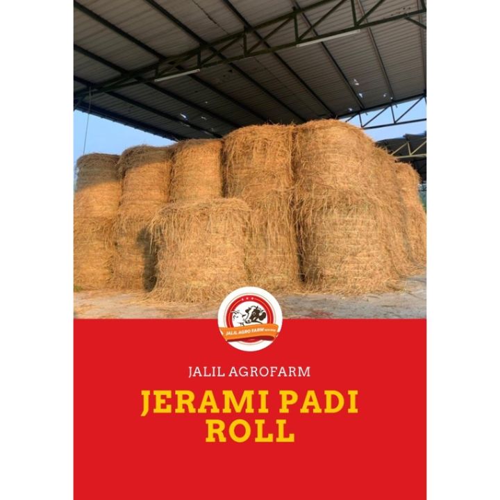 JERAMI PADI 25 KG | Lazada