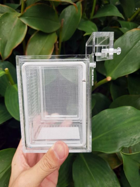 MADFU Breeder box | Lazada Singapore