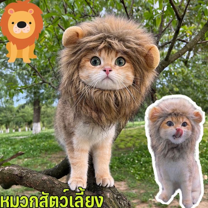 【QPETS】หมวกสัตว์เลี้ยง วิกผมแมวน่ารัก รูปสิงโตน่ารัก ขนาดเล็ก แมว ...