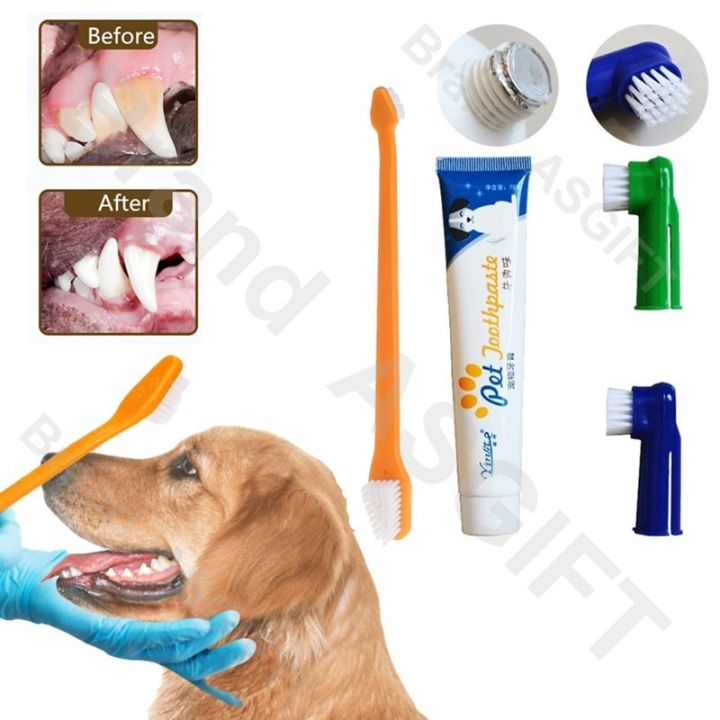 4 in 1 Pet Toothbrush Toothpaste Set Cat Dog Oral Care Teeth Cleaning ...