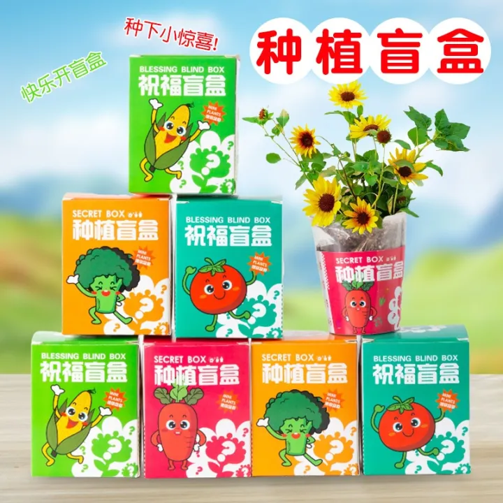 Secret Box Plant Blind Box Small Potting Plant Indoor Vegetable Flower ...