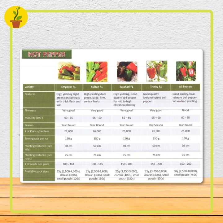 Sweet Pepper Seeds (Sultan F1 Variety) buy 1 take 1， 50 seeds (not ...