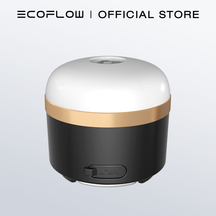EcoFlow Camping Lamp, Waterproof Versatile Camp Light, Stepless Dimming ...