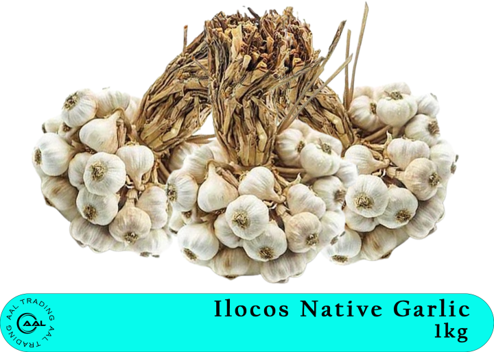 Ilocos Native Garlic / Bawang - 1kg | Lazada PH
