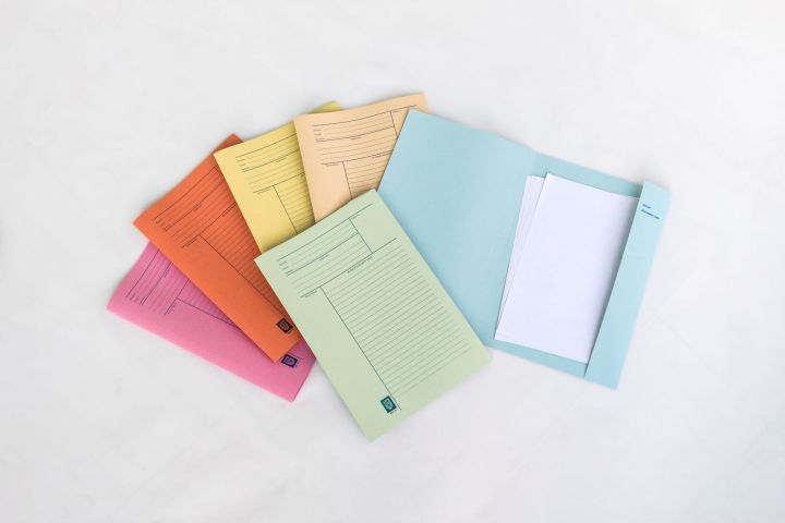 Lion Minute File MF-601 | Lazada