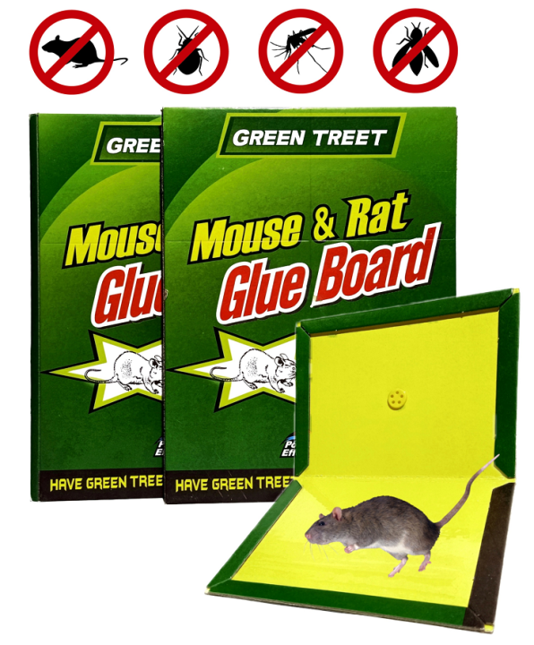 KCS Mouse Glue Traps Mouse Size Glue Traps Sticky Boards Mouse Catcher ...
