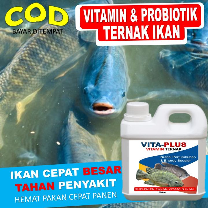 Vitamin Probiotik Suplemen ikan Nila Terbaik 1 lt untuk Meningkatkan Nafsu makan dan Cepat Besar ...