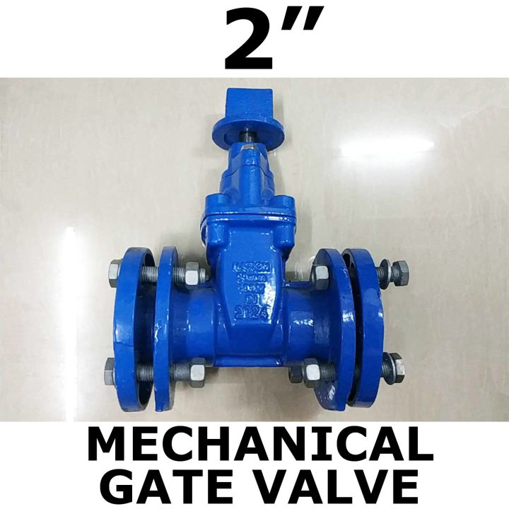 GENERIC CAST IRON MECHANICAL GATE VALVE 2" BLUE FOR WATER DISTRICT