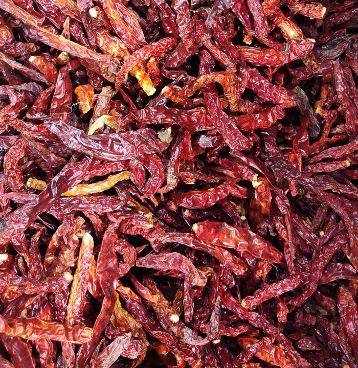 Lada Kering Cili Kering Kerinting (India) - Dried Chili (100G) | Lazada