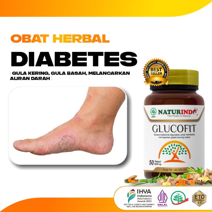 Glucofit Naturindo Fit Obat Herbal Gula Basah gula Kering | Lazada ...