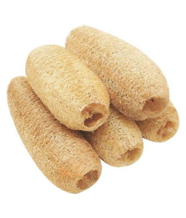 Natural Loofah Ridge Gourd Batch Scrubber/(Peerkangai Scrub)set of 3 ...